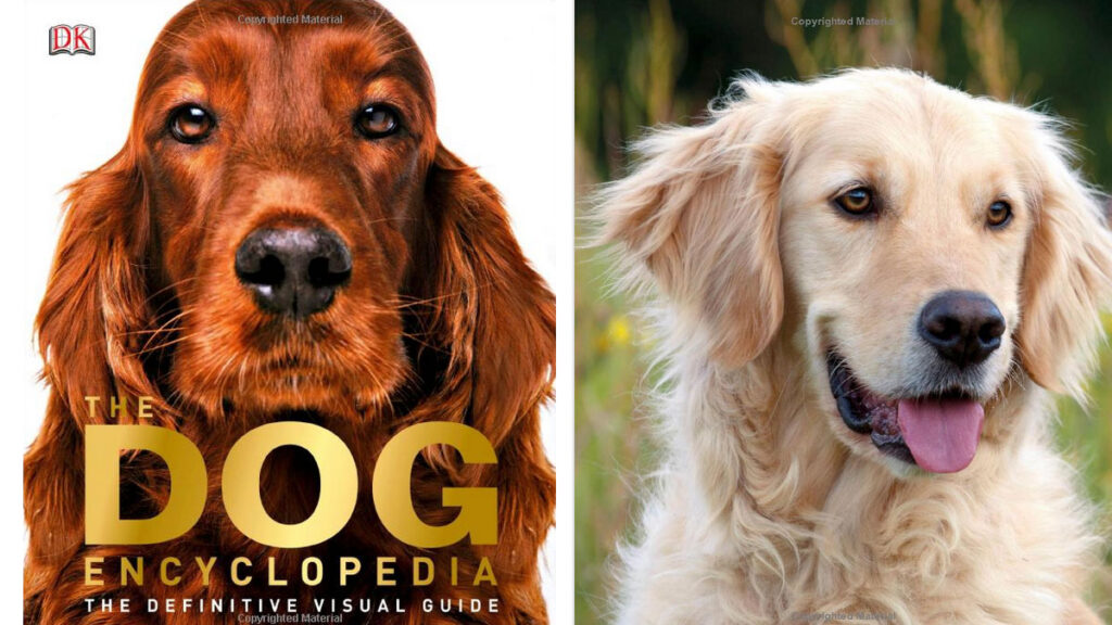 5 libros de razas de perros mejor calificados